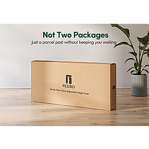 FEZIBO 55 × 24 Electric Standing Desk with Drawers, Whole-Piece Glass Adjustable Height Desk, One-Piece Quick Install Adjustable Sit Stand Desk, White