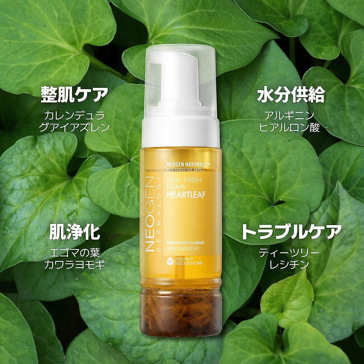 DERMALOGY by NEOGENLAB NEOGEN Real Fresh Cleansing Foam, Heartleaf 5.64 oz (160g) - Vegan, Cruelty Free, Soothing Cleanser for Sensitive Skin - Korean Skin Care