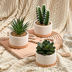ASTRIDIA Artificial Succulent Plants in Ceramic Pots, Faux Assorted Succulents Fake Cactus Plants for Home Decor, Bedroom, Office, Desk, Living Room, Set of 3…