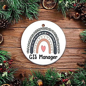 Let All You Do Be Done GIS Manager Ornament Ceramic for Christmas Tree Decorative, GIS Manager for Women Men, Funny Xmas Tree Hanging Ornament Round Ceramic Present Home Décor