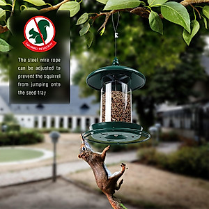Bird Feeder for Outdoors, Small Bird Feeder, Holds 1.50LB Seeds, Suitable for Small Seed Grains, Metal Bird Feeder for Outdoors Hanging