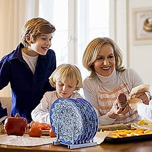 BFU 8 inch Porcelain Dinner Plates, Vintage Blue Plates Set of 6 for Dessert,Salad,Pasta, Pancakes, Steak,Appetizer,Microwave Safe Dinnerware - Bohemian Style