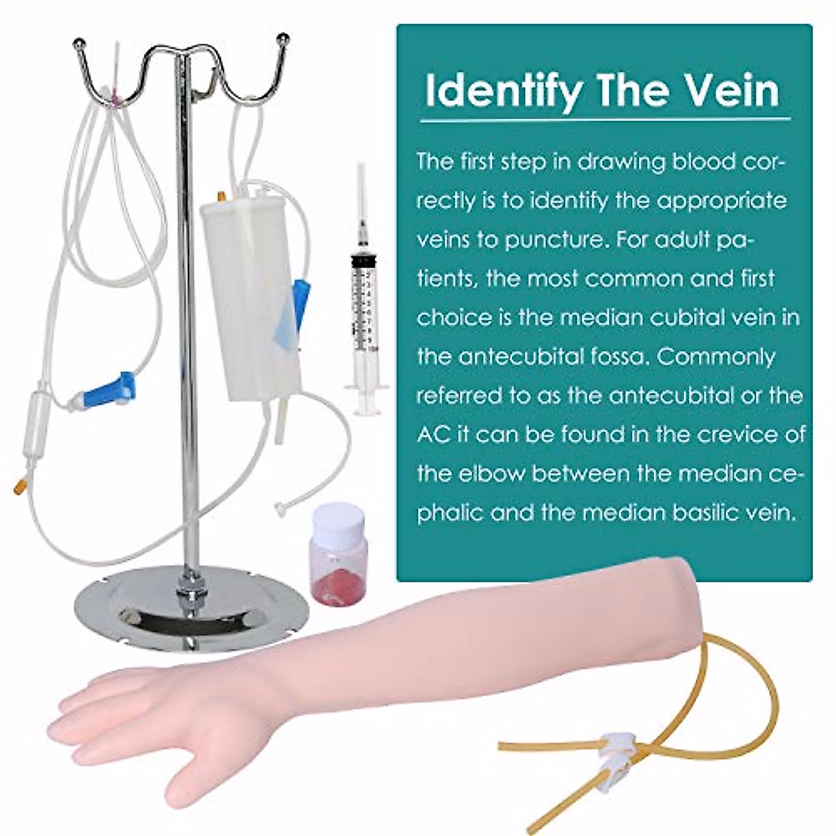 Phlebotomy Practice Kit,Venipuncture Practice Arm,IV Practice Arm Kit for Nurses Practice & Training, IV Starter Kit,Medical Educational Training Teaching Model
