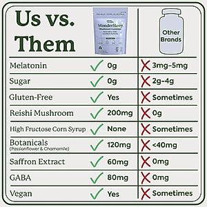 Plant People WonderSleep Mushroom Gummies Supplement for Sleep and Relaxation with Reishi Super Mushrooms, Wild Elderberry Flavor, No Sugar (60 Count)