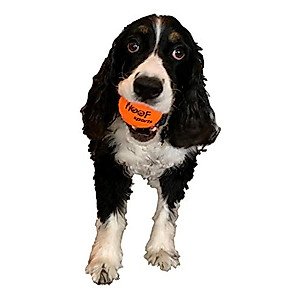 Dog Tennis Balls by Woof Sports - 12 Orange Tennis Balls for Dogs. Easy to Find! Includes Carrying Bag. Medium Size Balls Fits Standard Ball Launchers