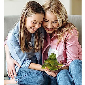 CoTa Global Shark, Dolphin, Sea Turtle, Mermaid Snow Globe Set of 4 – Ocean Water Globe Figurines, Collectible Novelty Ornament for Home Decor, Gift for Birthdays, Christmas and Valentine – 45mm