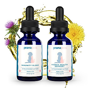 Kidney Immunity Regimen | Kidney Health Support & Immunity Blend Supplements for Cats and Dogs | Naturally Promotes Healthy Kidney Function in Dogs & Cats |