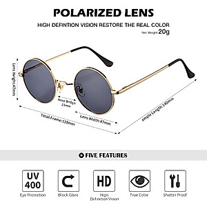 Pro Acme Small Round Polarized Sunglasses for Men Women Circle Retro Shades Metal Hippie Sunglasses UV400 (Gold Frame/Black Lens)