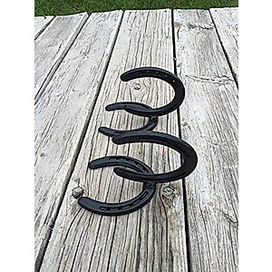 Horseshoe Hooks