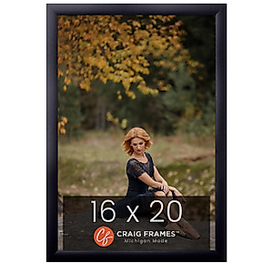 Craig Frames 16x20 Picture Frame, Modern Black with Plexiglass for Posters, Art, and Photography