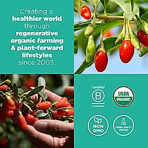 Navitas Organics Goji Berries, 4 oz. Bag, 4 Servings - Organic, Non-GMO, Sun-Dried, Sulfite-Free