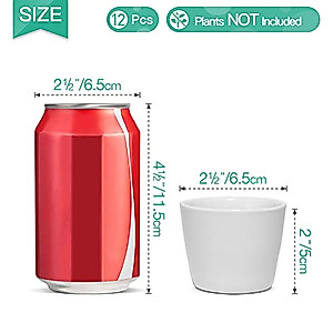 T4U 2.5 Inch Small White Succulent Planter Pots with Bamboo Tray Round Set of 12, Ceramic Succulent Air Plant Flower Pots Cactus Faux Plants Containers, White Modern Decor for Home and Office