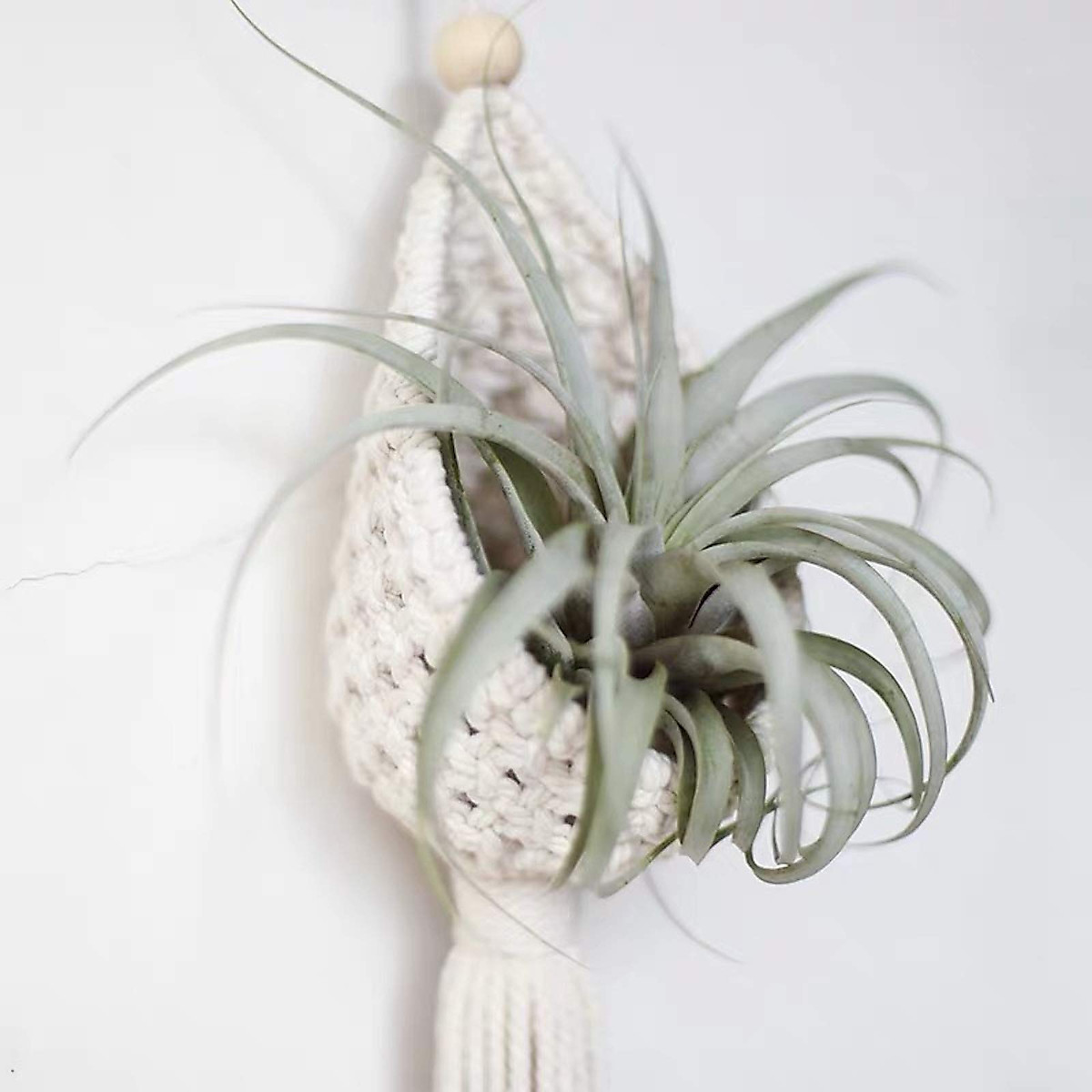2 Pack Macrame Plant Hangers Air Plants Hanging Basket, Boho Macrame Wall Hanging for Indoor Outdoor Home Decor