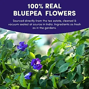 VAHDAM, Butterfly Pea Flower Tea Bags (40 Pyramid Tea Bags) Vegan, Non-GMO | Delicate & Earthy | Direct From Source - Plant Based Biodegradable Tea Bags | Brew Iced Tea, Cooking, Mocktails & Cocktails