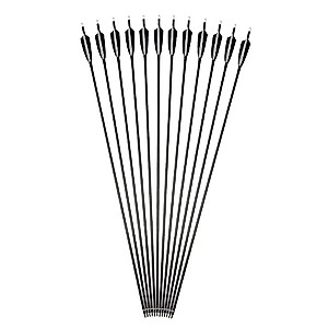 AMEYXGS 34Inch Archery Carbon Arrows Hunting Arrows Target Practice Arrows Spine 500 with Turkey Feather and Arrow Quiver for Recurve and Compound Bow (6pcs)