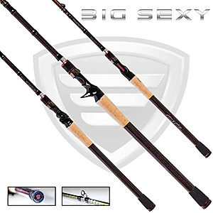 Big Sexy Favorite Casting Rod