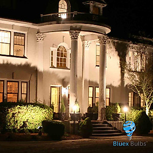 6 Pack BlueX Dusk to Dawn LED Bulbs, 6W E12 Base Light Bulb - 65W Equivalent – 5000K Daylight White - Smart Light Sensor Candelabra Bulb, Home Security Driveway, Yard, Porch Lighting