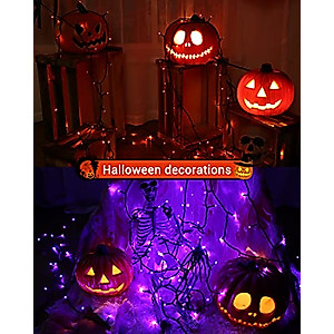 Flacchi Color Changing String Lights with Remote Control/Timing Function/Indoor & Outdoor RGB 105Ft 300LED Christmas Lights for Halloween, Christmas Decor, Garden, Party, Xmas Decorations