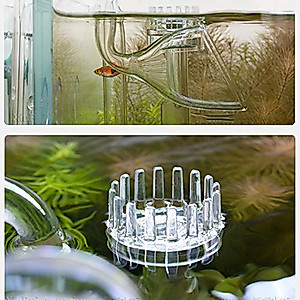 Hamiledyi Aquarium Glass Lily Pipe Set Lily Surface Skimmer Inflow and Lily Outflow for Aquarium Filter Tubing Freshwater Fish Planted Aquarium Tank