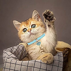 Girl Cat Collar with Bell Pet Buckle Dog Chain Cute Pet Peach Heart Dog Collar Diamond Bling Girl Small Puppy Rhinestone Cute Bowtie Pet Collar Rope