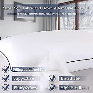 HOOMQING Bed Pillows for Sleeping 2 Pack,Pillows Queen Size Set of 2 for Side Back and Stomach Sleepers, Cooling Pillows,Down Alternative Filling Luxury Soft Supportive Plush Pillows (White, Queen)