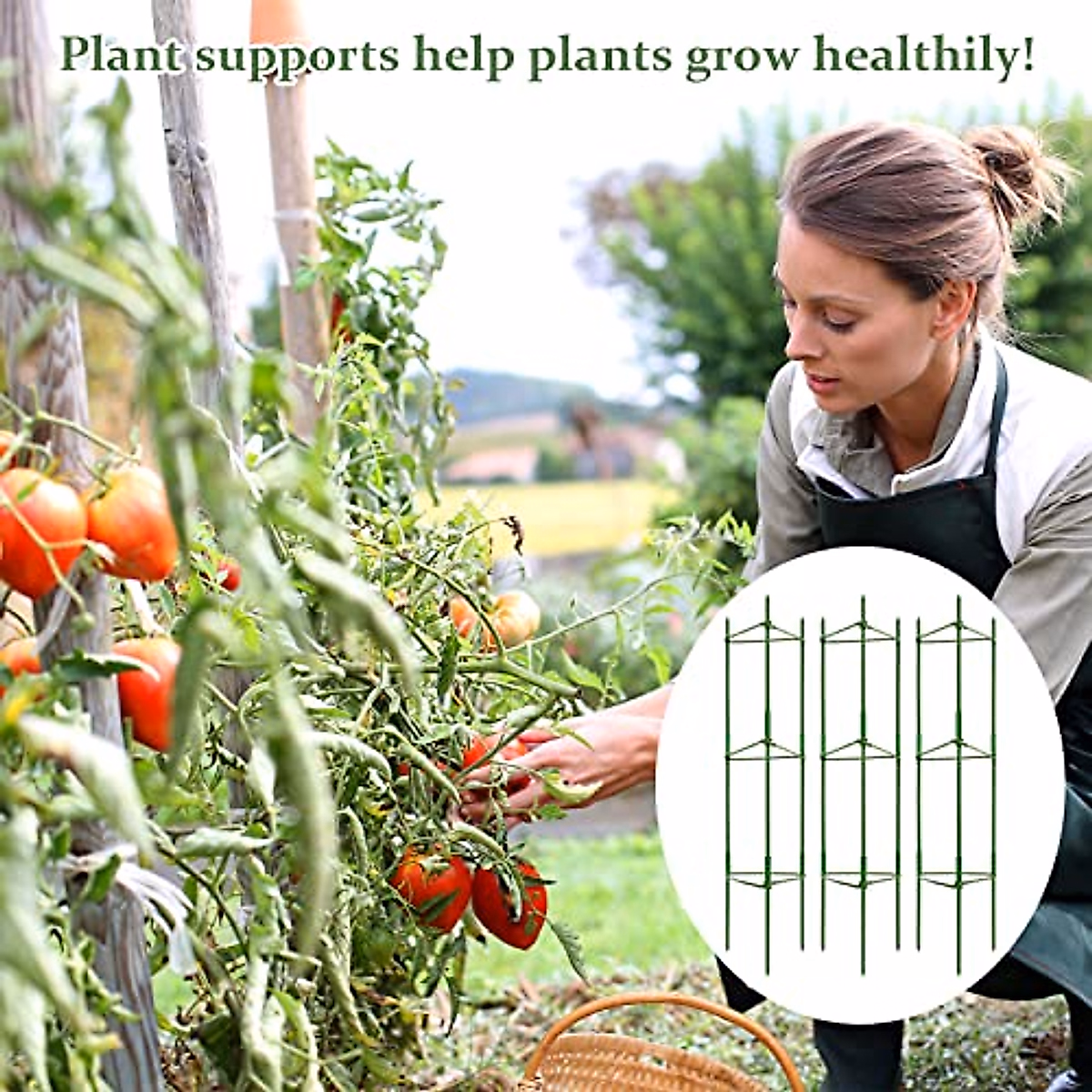 Legigo 4ft 4-Pack Tomato Cage for Garden Plant Support- Up to 48inch Garden Stakes Tomato Cage, Tomato Trellis for Potted Plants, Tomato Cages Plant Stakes for Climbing Vegetables Plants Flowers