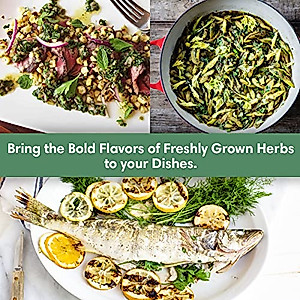 Herb Garden Indoor Herb Garden Starter Kit Easily Grow 10 Herbs Seeds - Indoor Herb Planters - Herb Garden Growing Kit - Grow Basil, Cilantro, Chives, Arugula and More - Gardening Gifts