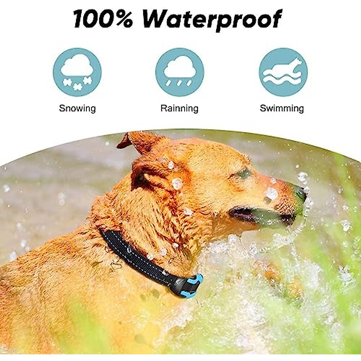 PcEoTllar Electric Fence for Dogs, Rechargeable Underground Dog Fence System, Pet Containment System, 2 Waterproof Collar Receivers, with 656Ft Underground/Aboveground Boundary Wire