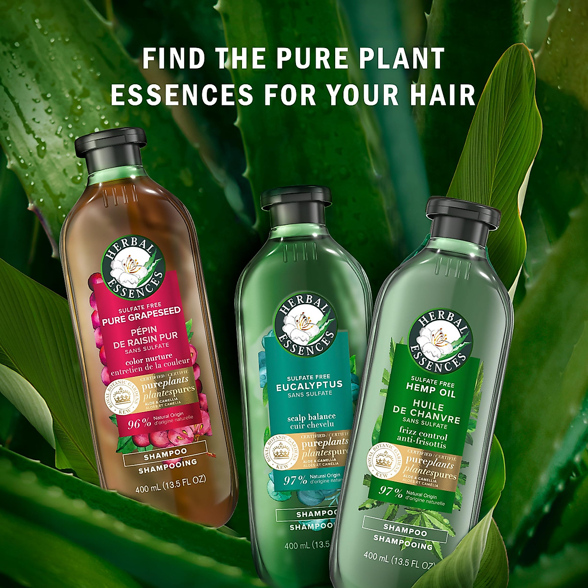 Herbal Essences Bio: Renew Potent Aloe + Eucalyptus Conditioner Scalp Balance, 13.5 Fl Oz, 5.523 Fl Oz