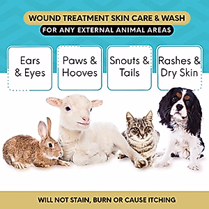 Curicyn, Wound Treatment Spray for All Animals - Original Formula, Helps Reduce Inflammation, Easy and Effective Pet Wound Care, Dog and Cat Skin Care Infection Treatment, - 8 oz Spray Bottle