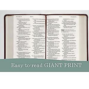 NLT Compact Giant Print Bible, Filament Enabled (LeatherLike, Navy Blue Cross, Red Letter)