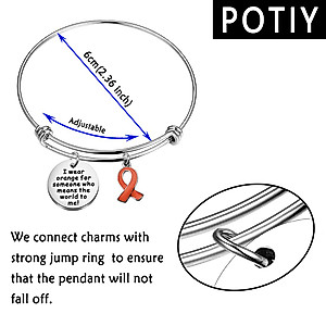 POTIY Orange Awareness Ribbon Charm Bracelet Kidney Cancer Leukemia Multiple Sclerosis Awareness Jewelry Cause Ribbon Inspirational Bracelet for Women (Orange Bracelet)