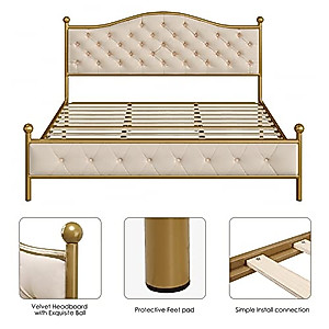 HIFIT Queen Size Platform Bed Frame with Elegant Button Tufted Curved Headboard, Velvet Upholstered Bed Frame with No Noise, Heavy Duty Metal Frame Foundation, No Box Spring Needed, Gold-Beige