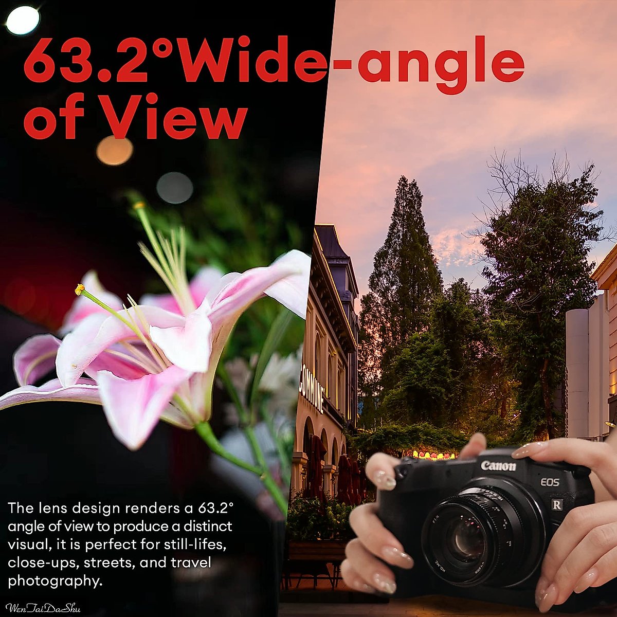 PERGEAR 35mm F1.4 Full-Frame Manual Focus Lens, Compatible with Sony E-Mount Cameras A7 A7II A7III A7R A7RII A7RIII A7RIV A7S A7SII A7SIII A9 A7C A6400 A6000 A6600 A6100 A6500 A6300 (Black)