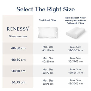 RENESSY Organic Silk Pillowcase - 100% Organic Mulberry Silk, 22 Momme, Naturally Hypoallergenic, Promotes Hair and Skin Health, 1 Piece (Queen Size 20x30 Inches, Natural Silk Off-White)