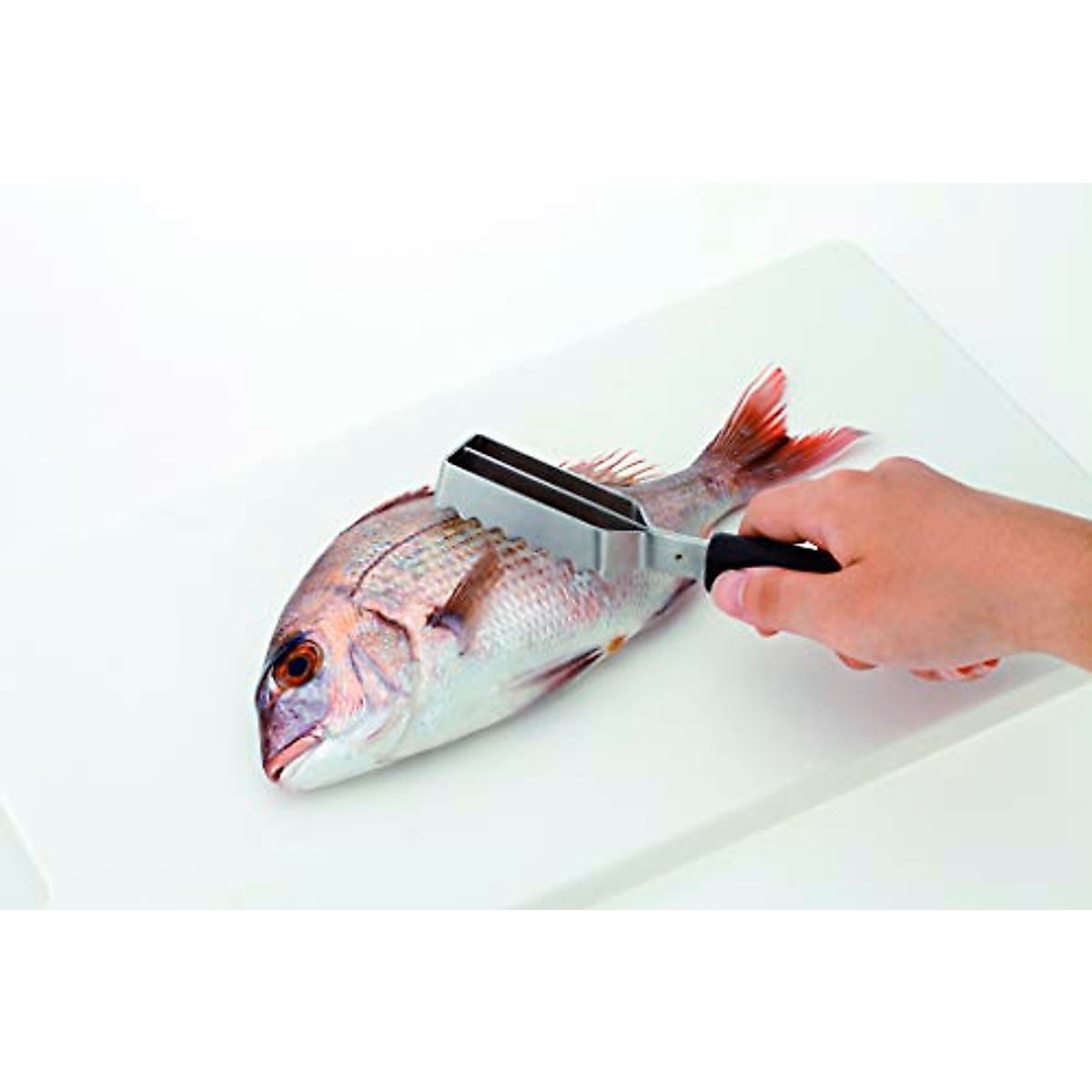 Endo Shoji TKG BKTM601 Kitchen Tool Scale Remover, Handle, PP, Metal Parts, Stainless Steel