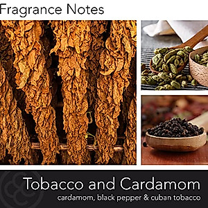 Colonial Candle Tobacco & Cardamom Scented Jar Candle, M. Baker Collection, 2 Wick, Grey, 14 oz - Up to 60 Hours Burn