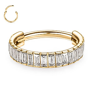 FUNLMO Surgical Steel Hinged Segment Ring CZ Conch Helix Septum Piercing Jewelry Nose Rings Hoops Cartilage Lobe Huggie Earring Small Hoop Earring16G 8mm Gold