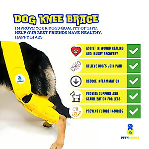 PET’SBARREL Dog Knee Brace for Torn ACL Hind Leg Problems - Support and Relief for Rear Limb Health. Lick Sleeve for Dogs Rear Leg. Dog Leg Braces for Back Leg. ACL Brace for Dogs Rear Leg.