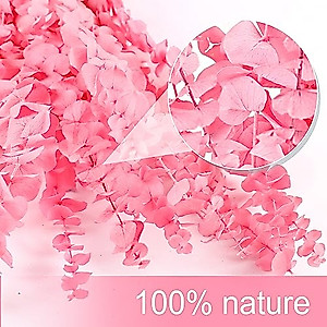 Glicrili Pink-Real-Eucalyptus-Stems, Pink Christmas Decorations, 17'' Tall Dry Flowers Bulk for Vase, Pink Halloween Boho Home Decor, Wedding, Party, Gifts, Floral Arrangement, Room Decoration
