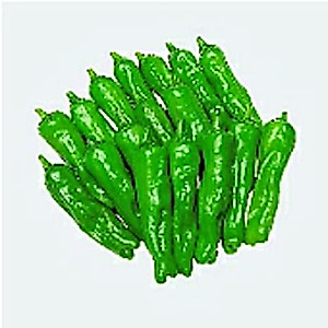 Shishito Hot Peppers Seeds (20+ Seeds) | Non GMO | Vegetable Fruit Herb Flower Seeds for Planting | Home Garden Greenhouse Pack