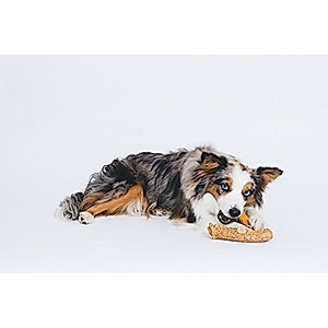 Pet Qwerks Nylon Antler Liver Flavor - Durable Dog Bones for Aggressive Chewers, Tough Nearly Indestructible Chew Proof Toys | Made in USA - for Large & Medium Dogs (A7)