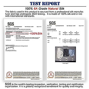 BIGHAS 100% Mulberry Silk Pillowcase for Hair and Skin with Hidden Zipper, Soft Breathable Natural Both Side 19 Momme Silk, 600 Thread Count (Beige, Standard)