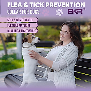 BKRMART Flea and Tick Collar for Dogs, 8 Months Protection Natural Dog Flea Collar and Tick Treatment, One Size Fits All Dogs Flea & Tick Prevention Collar 2 Pack
