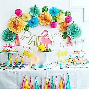 Final Fiesta Bachelorette Party Decorations/Fiesta Bridal Shower Decorations/Final Fiesta Banner Mexican Fiesta Theme Party Backdrop Decor Tropical Party, Luau Party, Mexican Themed Bachelorette