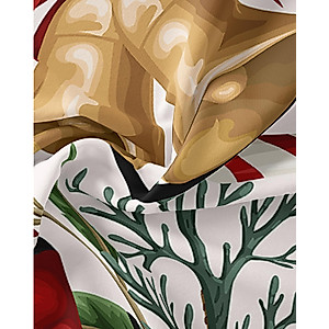 ZIRANSHU Christmas Duvet Cover Queen Size, Holiday Decoration Christmas Theme Bedding Sets Printed with Christmas Elements Such As Pine Cones, Bells, Birds(1 Duvet Cover + 2 Pillowcase)