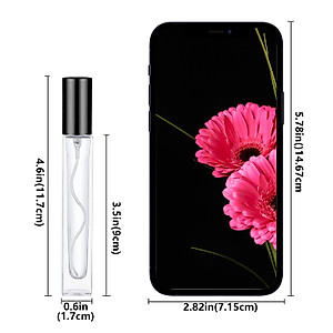 Lil Ray 10ml Perfume Atomizer for Men & Women. Refillable Glass Spray Bottle. Portable Fragrance Bottle for Travel,Party (6PCS)