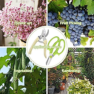 Sunnyac Garden Pruning Shears Scissors, 2 Pack Gardening Tools Hand Pruners, Floral Secateurs, Tree Trimmer, Clippers for Cutting Flowers and Plants, Trimming Branches, Bonsai, Fruits Picking (Color1)