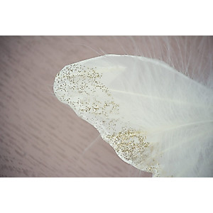 Inspired by Jewel Butterfly Wall Decorations Premium Quality Real Feather 3D Wall Decals Girls Bedroom | Stunning Gold Glitter Decor Stickers All Rooms & Nursery Sets | 10 Adhesive Pieces