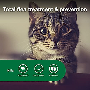 Advantage II Small Cat 5-9 lbs & Advantage II Large Cat Over 9 lbs Vet-Recommended Flea Treatment & Prevention | 2-Month Supply Each